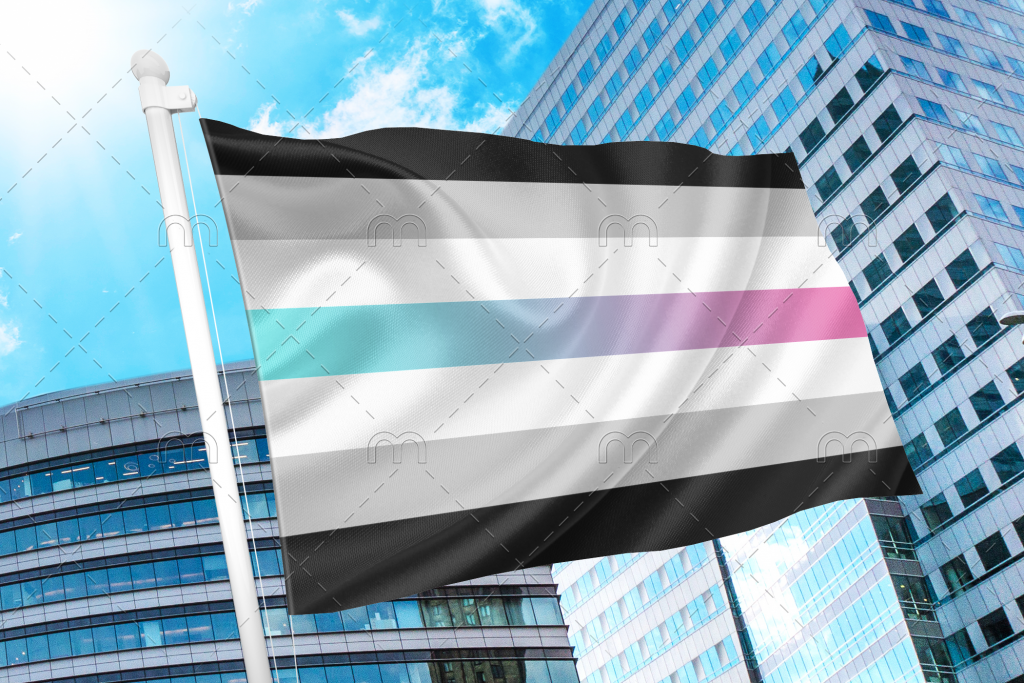 Librafluid Pride Flag PN0112 | Demisexual Flag